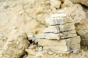 Kalkstenen - Nordkalk