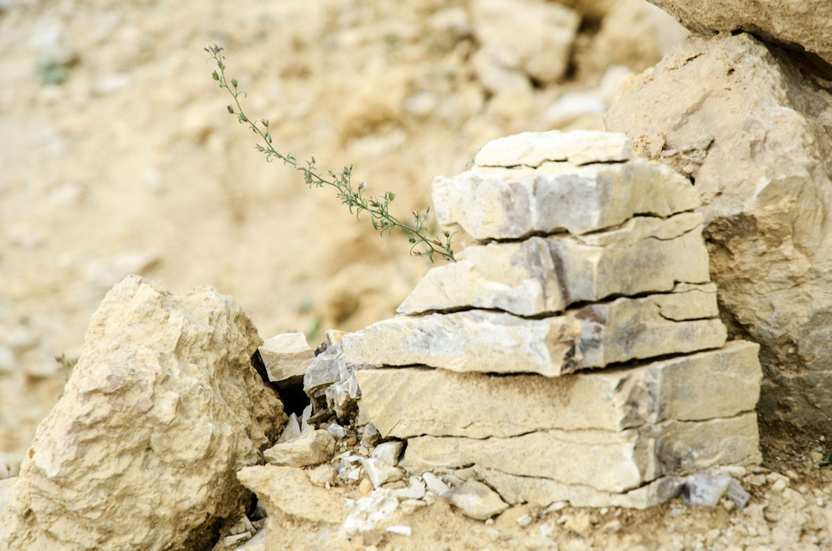 Kalkstenen - Nordkalk